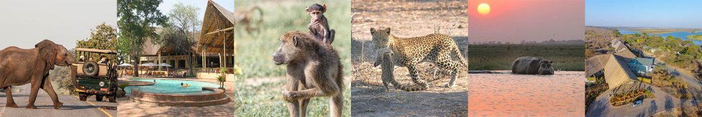 About Botswana | All you need to know about Botswana