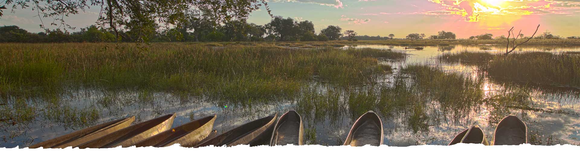 Self-Drive Rondreizen Botswana | De ultieme Safari!